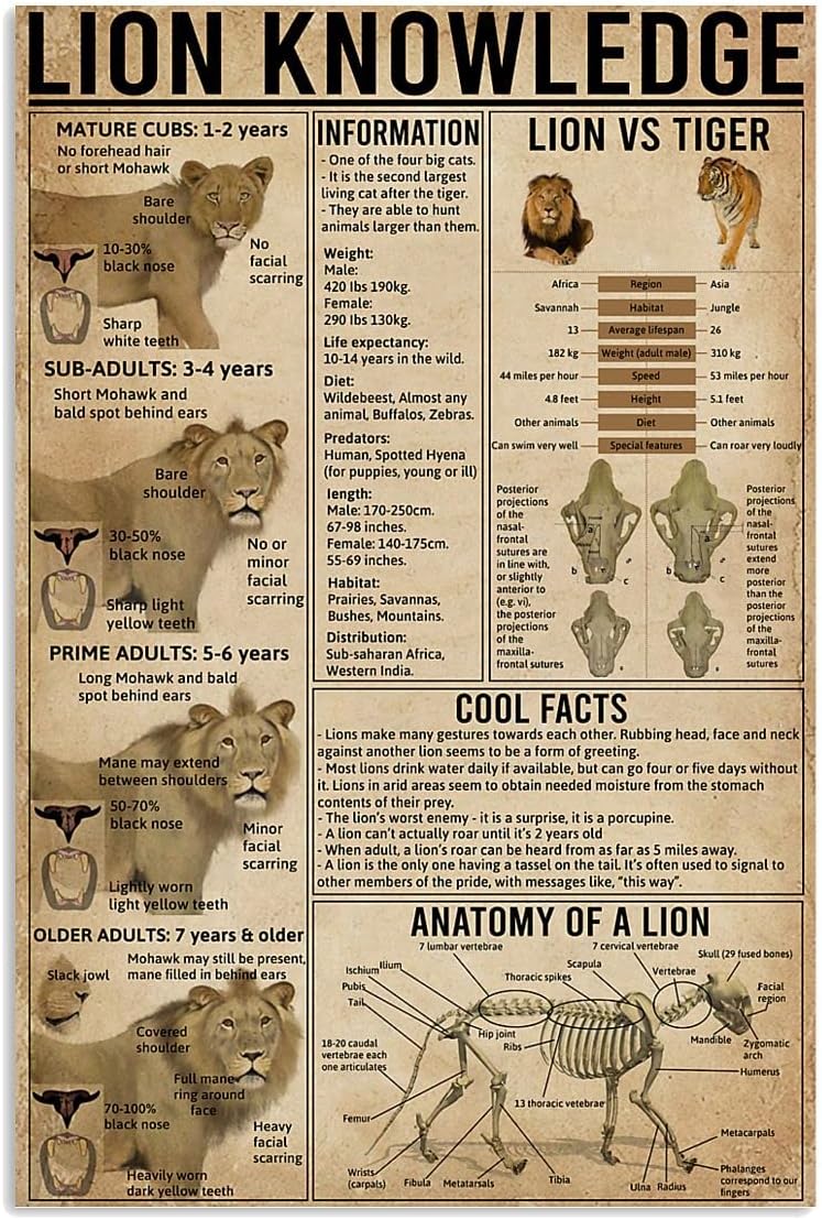 Amazon.com: Lion Knowledge Metal Tin Signs Lion Information Retro ...