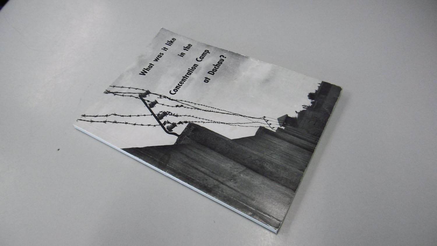 What Was It Like in the Concentration Camp At Dachau?: Neuhausler, Dr ...