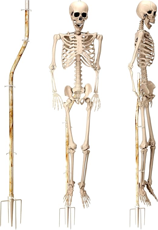 Amazon.com: Briwooody 2 Pcs Skeleton Stand Pose N Stay Metal Stand for ...
