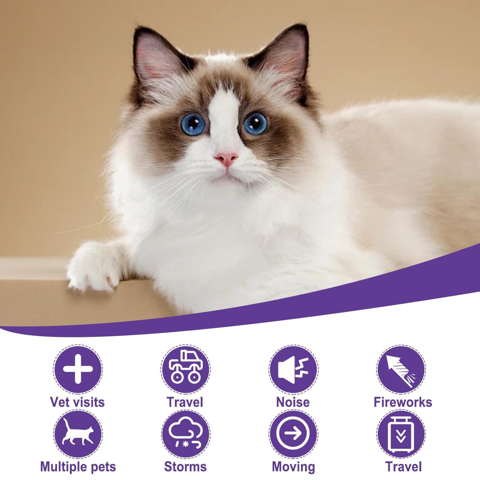 Snapklik.com : Cat Calming Collar For Cats Sentry Calming Collar For ...