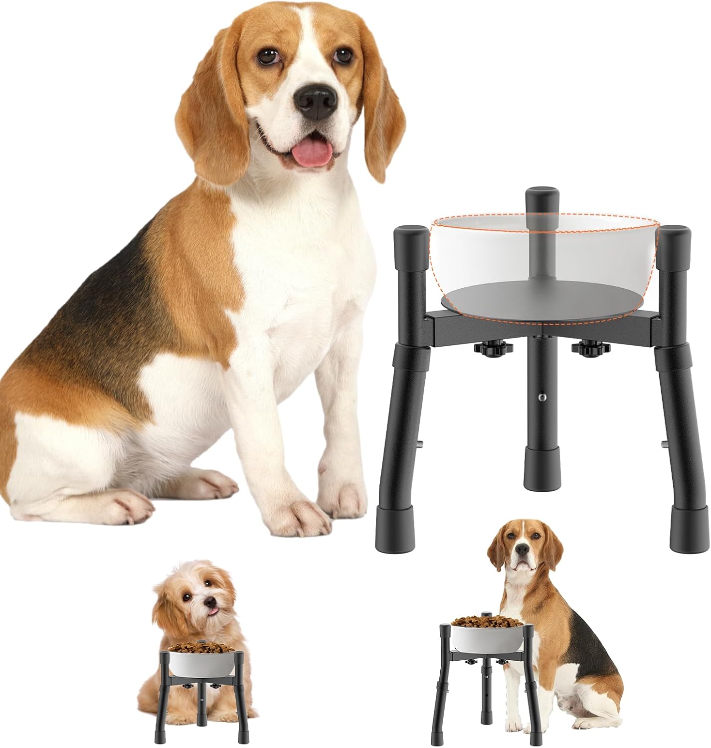 Pet Supplies : Elevated Dog Bowls Stand with Adjustable Height and ...