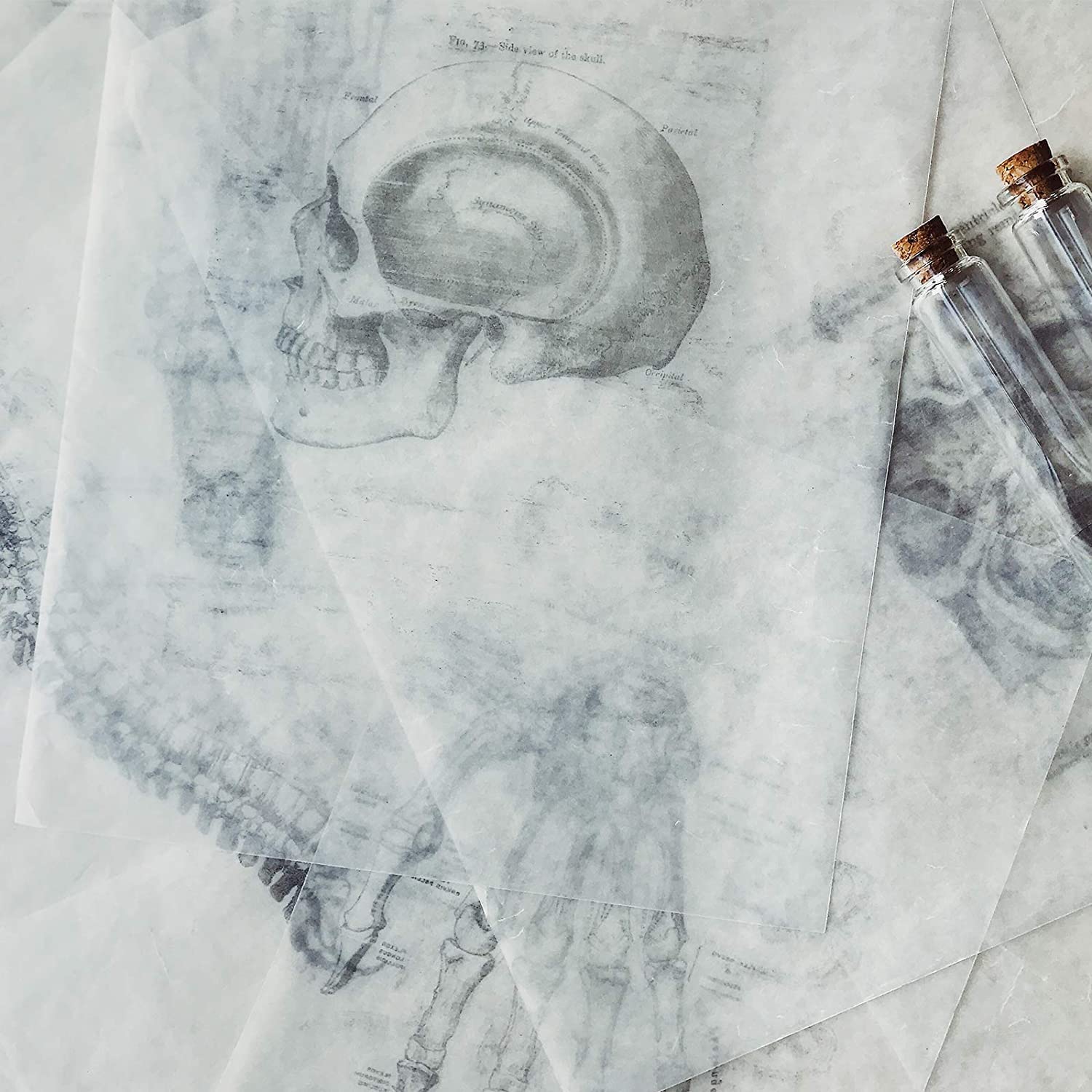 Buy AIEX 50 Sheet 11 x 8.5 Inch Translucent Vellum Paper, Clear Tracing ...