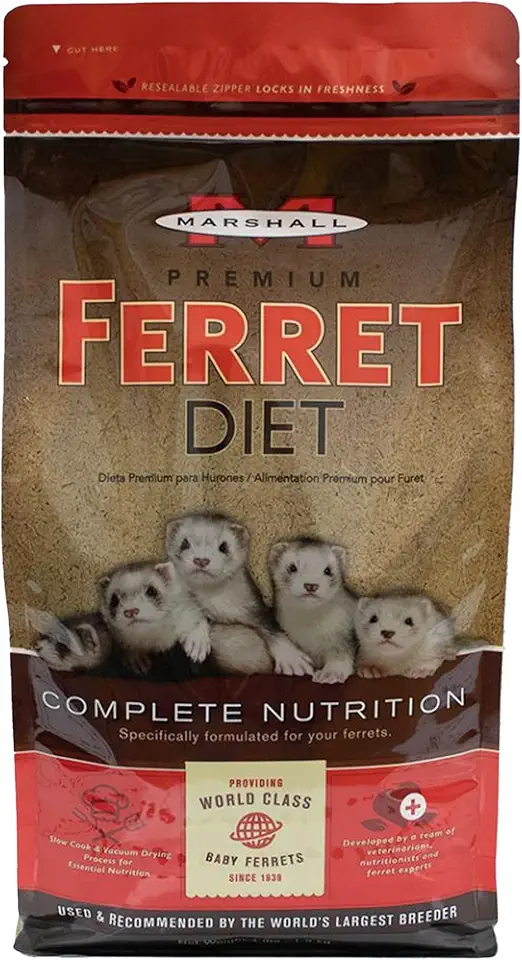 The Ultimate Guide To What Ferrets Eat: A Comprehensive List | PetShun