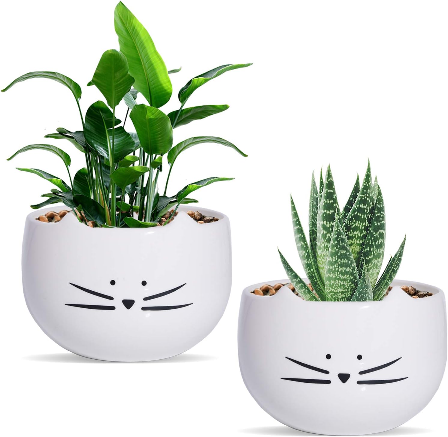 Amazon.com : SparkDazzle Cat Planter Pot | Indoor Planter for Plants ...