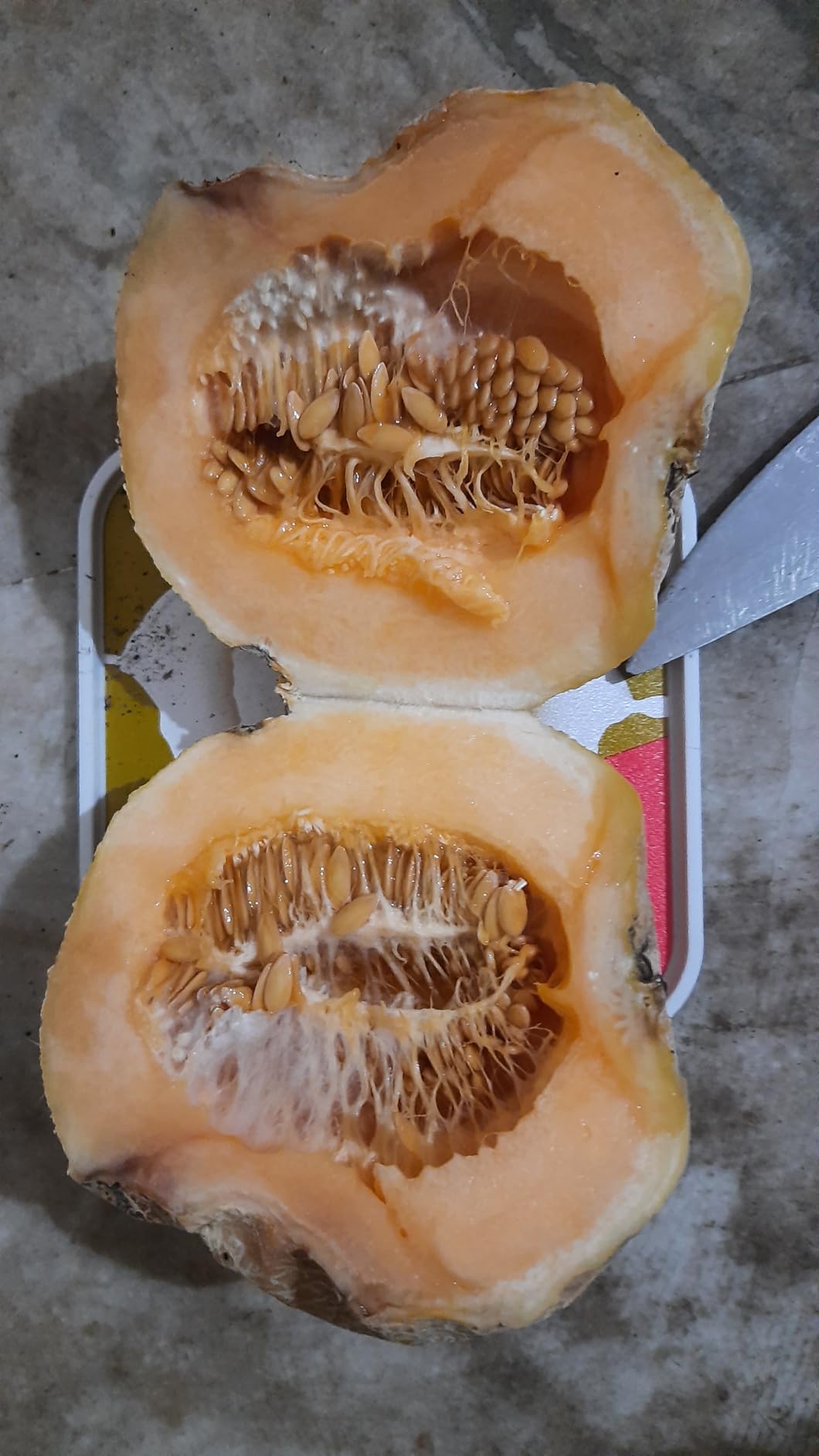 Fresh Muskmelon