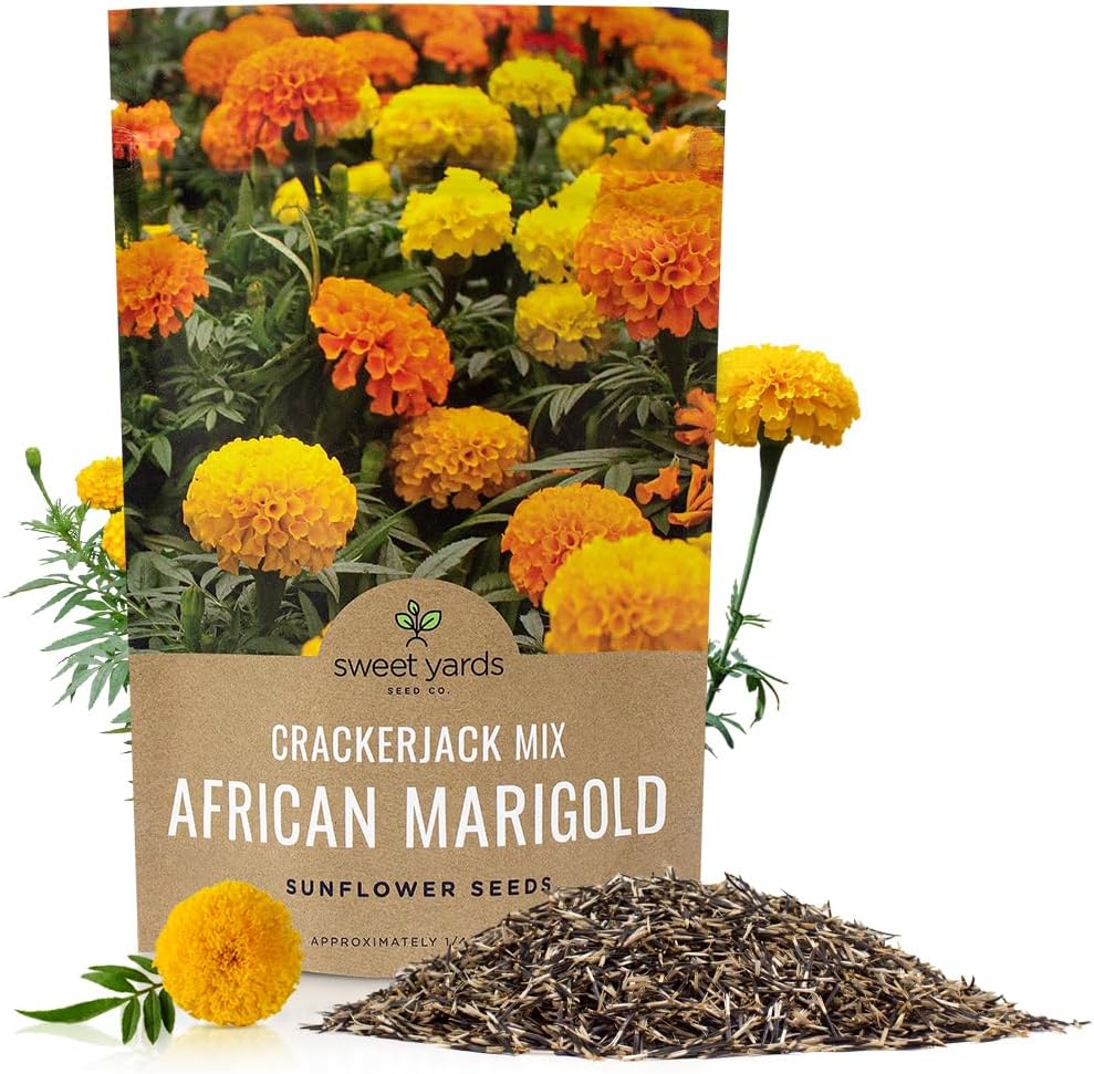 Amazon.com : African Marigold Seeds Crackerjack Mix - Bulk 1/4 Pound Bag - Over 40,000 Seeds ...