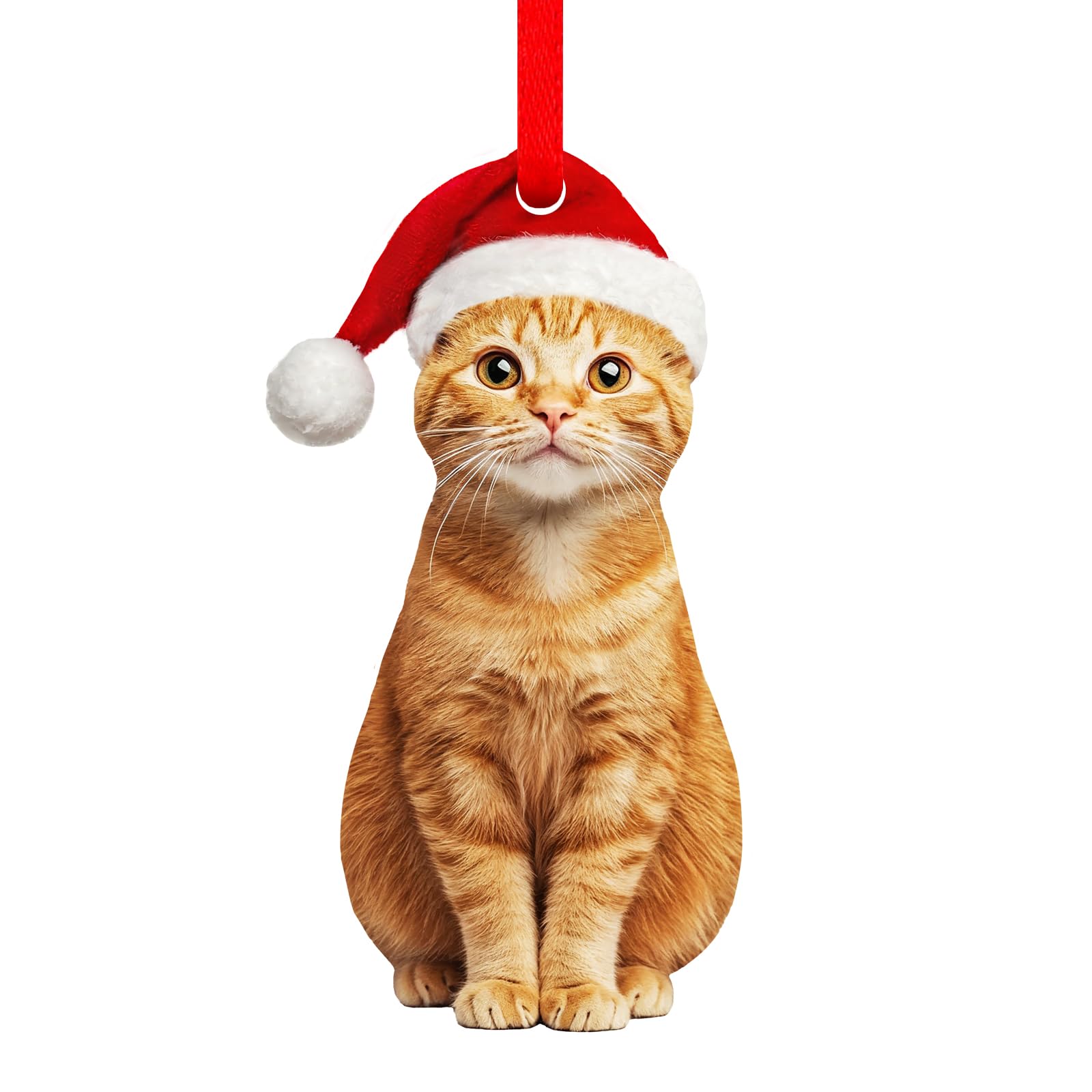 Amazon.com: SICOHOME Orange Cat Christmas Ornament - Graceful Acrylic ...