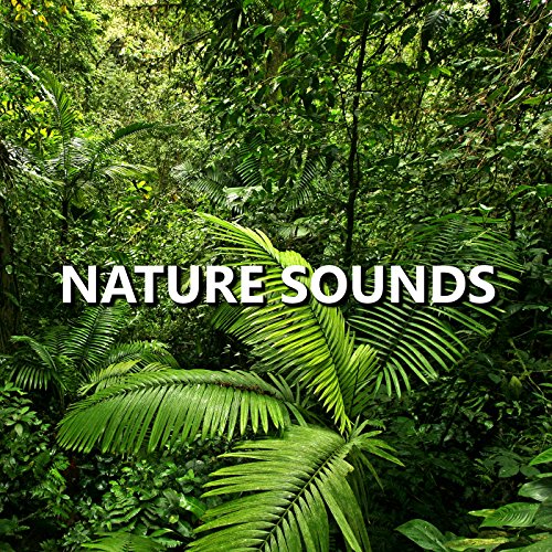 Play Nature Sounds by Nature Sounds Nature Music on Amazon Music