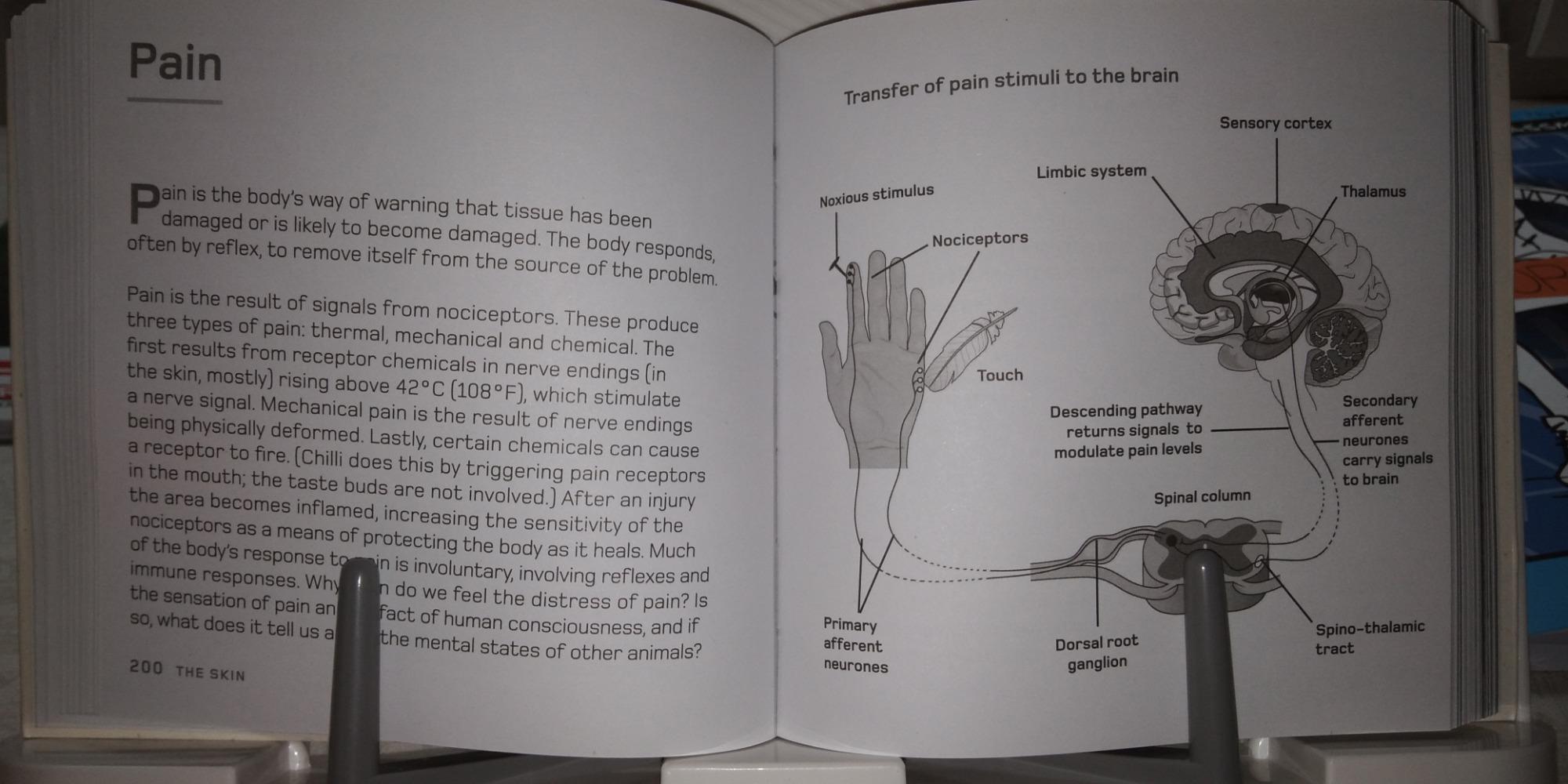 Buy THE HUMAN BODY IN MINUTES (IN MINUTES SERIES): 200 key concepts ...