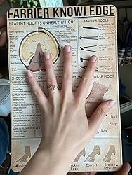 Amazon.com : Farrier Knowledge Metal Tin Sign Anatomy Of Horse Hoof ...