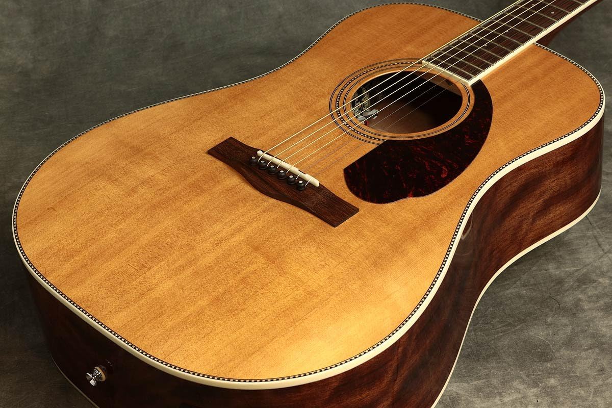 Amazon.com: Fender Paramount PS-220E Parlor Acoustic Guitar, with 2 ...