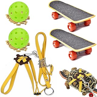 The Tiny Turtle: A Global Hunt For The Smallest | PetShun