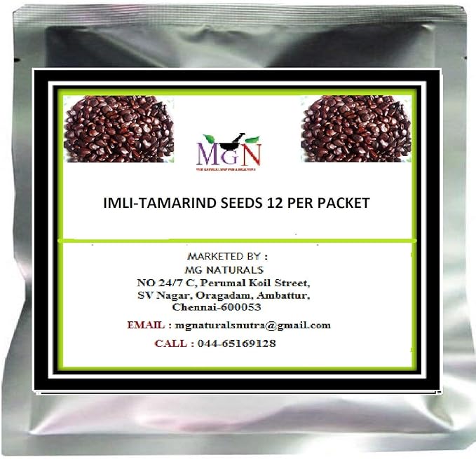 Mg Naturals Imli-Tamarind Seed 12 Seeds Per Packet : Amazon.in: Garden ...