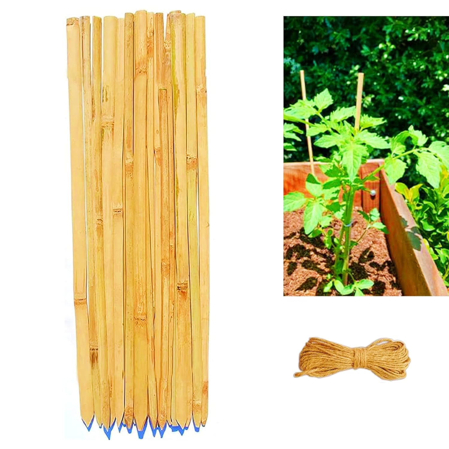 FINDLINE Bamboo Sticks for All Kinds Plants Support Sticks (Set of 22 ...