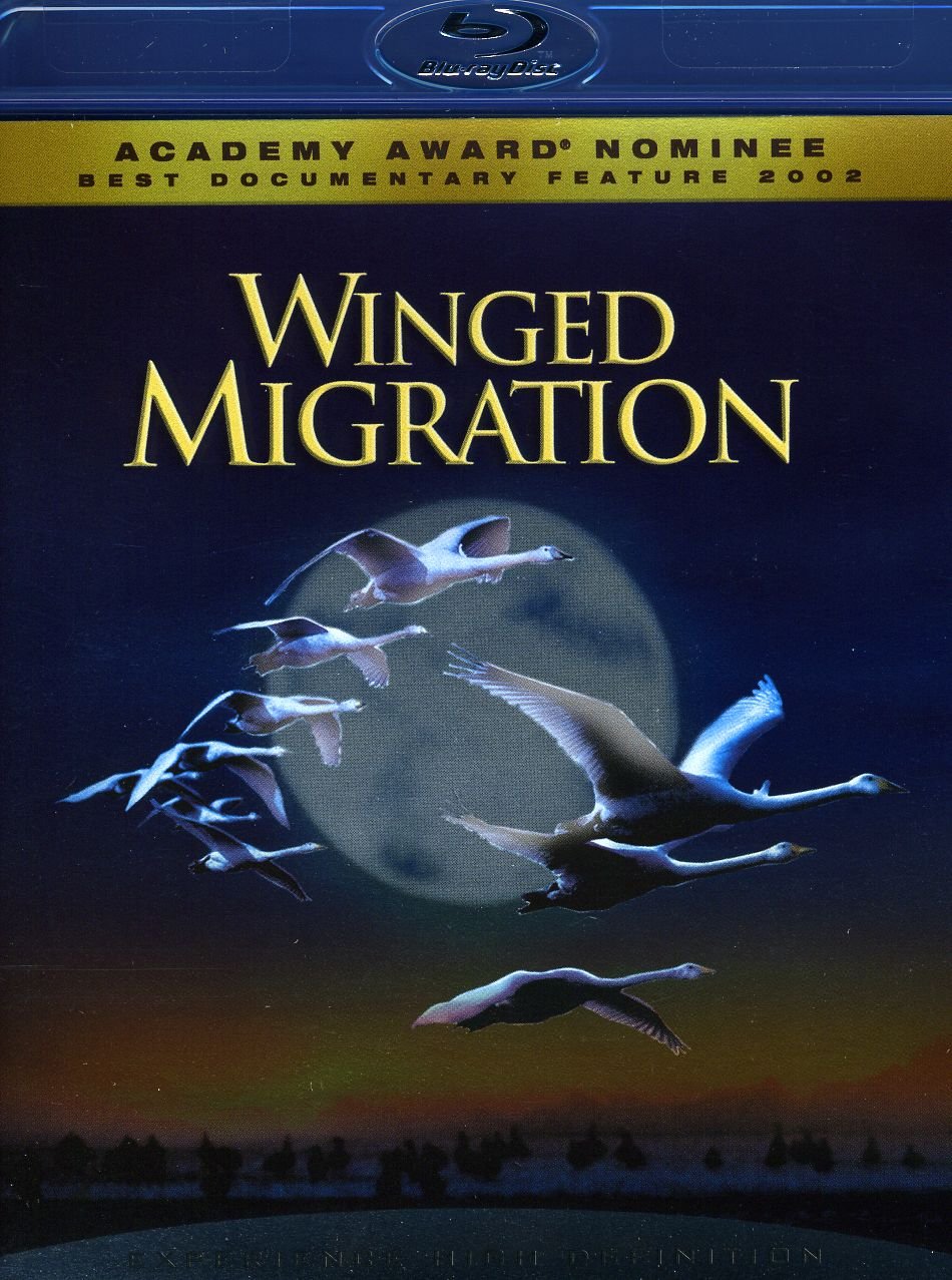 Amazon.com: Winged Migration [Blu-ray] (2009) : Jacques Perrin: Movies & TV