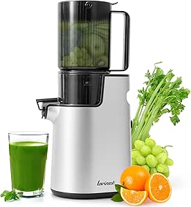 Amazon.com: Larinest Slow Masticating Juicer Machines Cold Press Juicer ...