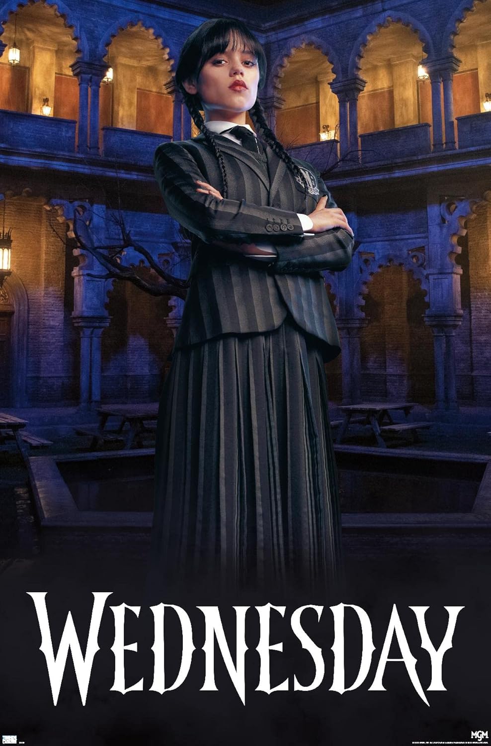 Amazon.com: Trends International Wednesday - Portrait Wall Poster, 22. ...