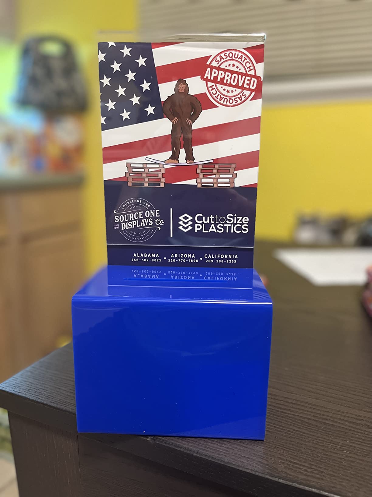 Amazon.com : Source One Small 5-Inch Wide Deluxe Oblong Donation Box ...