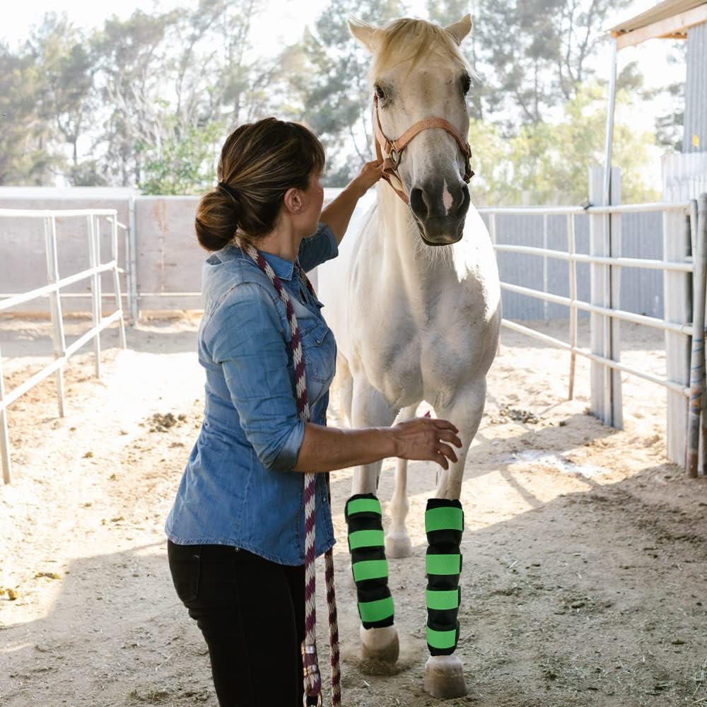 RAINBOW Ice Boot for Horse Ice Pack for Injuries Reusable Pro Cooling ...