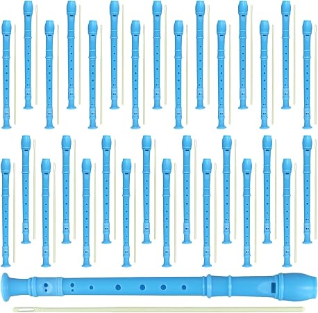 Amazon.com: SEHOI 30 Pack 8 Hole Soprano Recorder Descent Flute, German ...