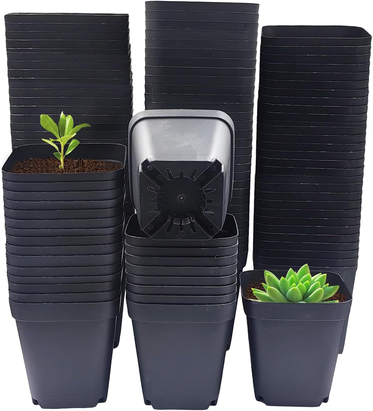 Amazon.com: RooTrimmer Square Nursery Pots 3" 120Pcs Deep Succulent ...