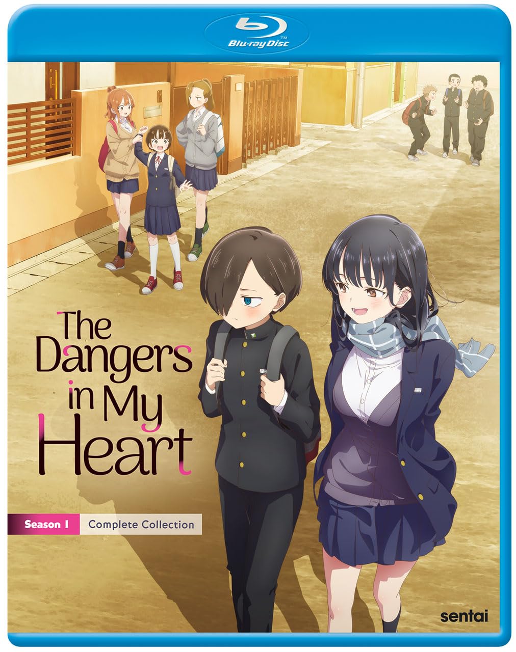 Amazon.com: The Dangers in My Heart: Season 1 [Blu-Ray] : Multiple ...