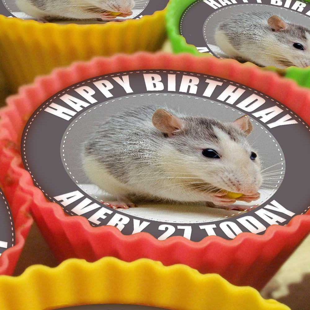 20 x Personalised Pet Rat 5cm High Resolution Cupcake Toppers : Amazon ...