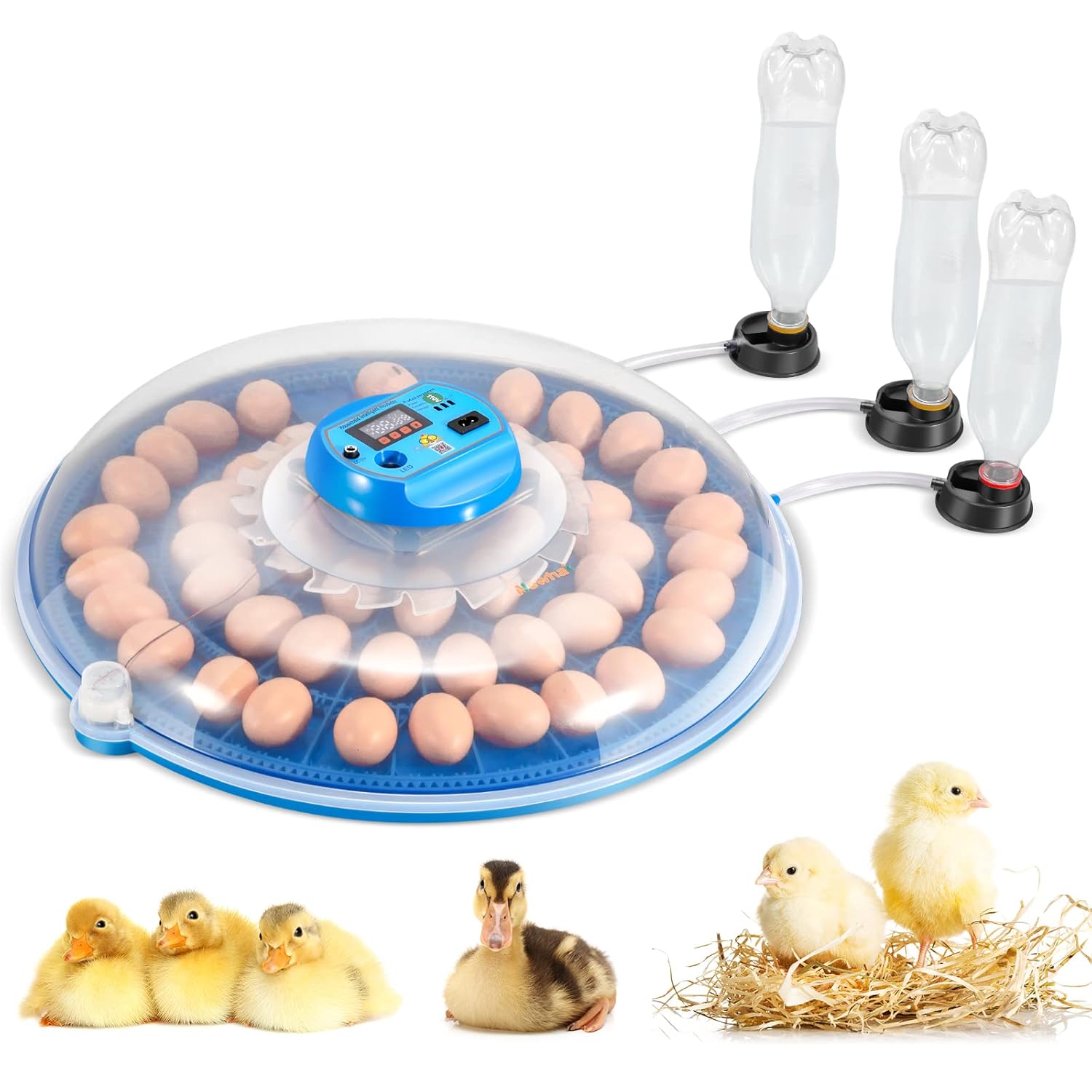 Newhai 52 Egg Incubator Automatic Poultry Hatching Machine Automatic ...