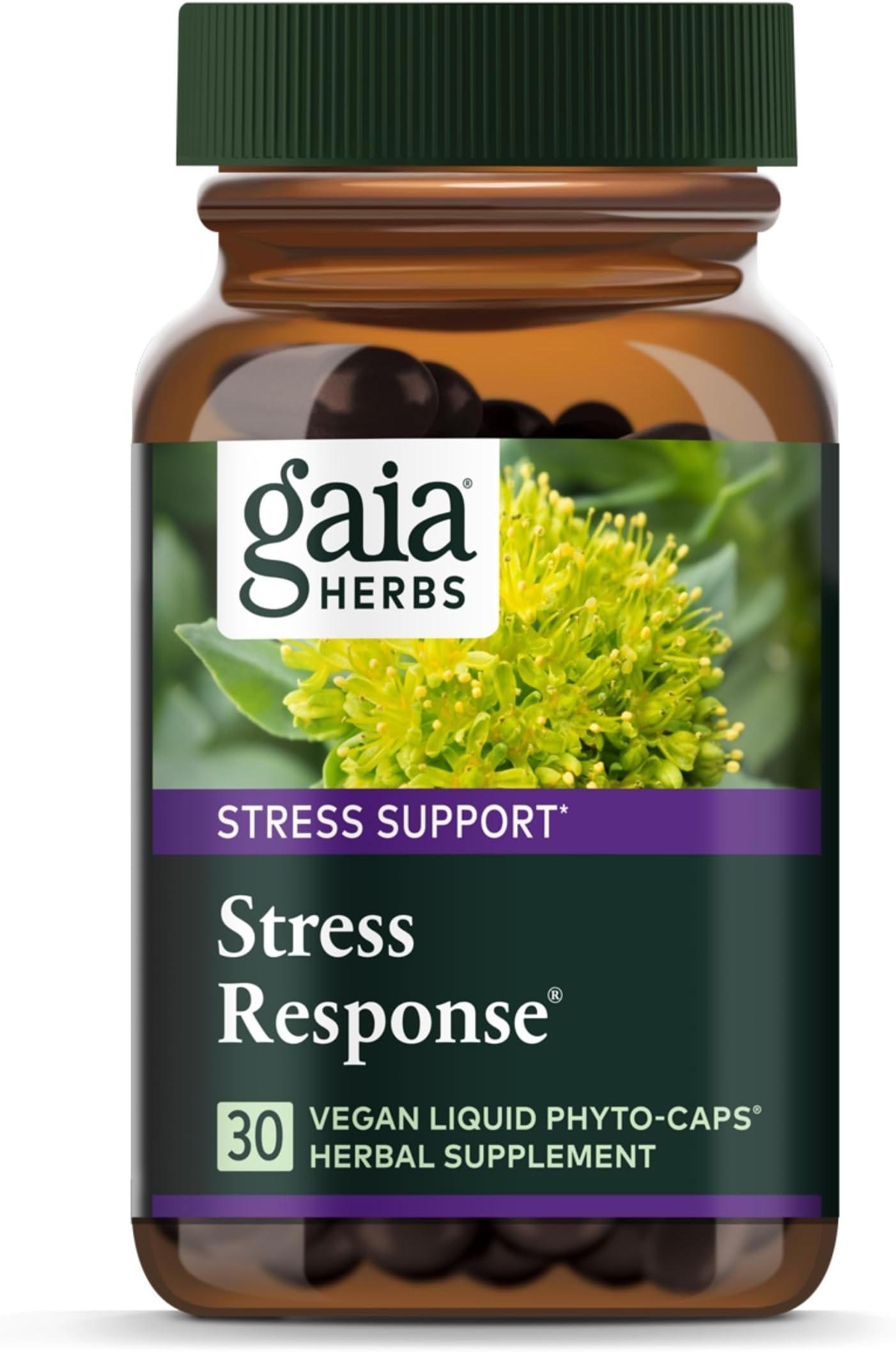Amazon.com: Gaia Herbs Adrenal Health Daily Support - with Ashwagandha ...