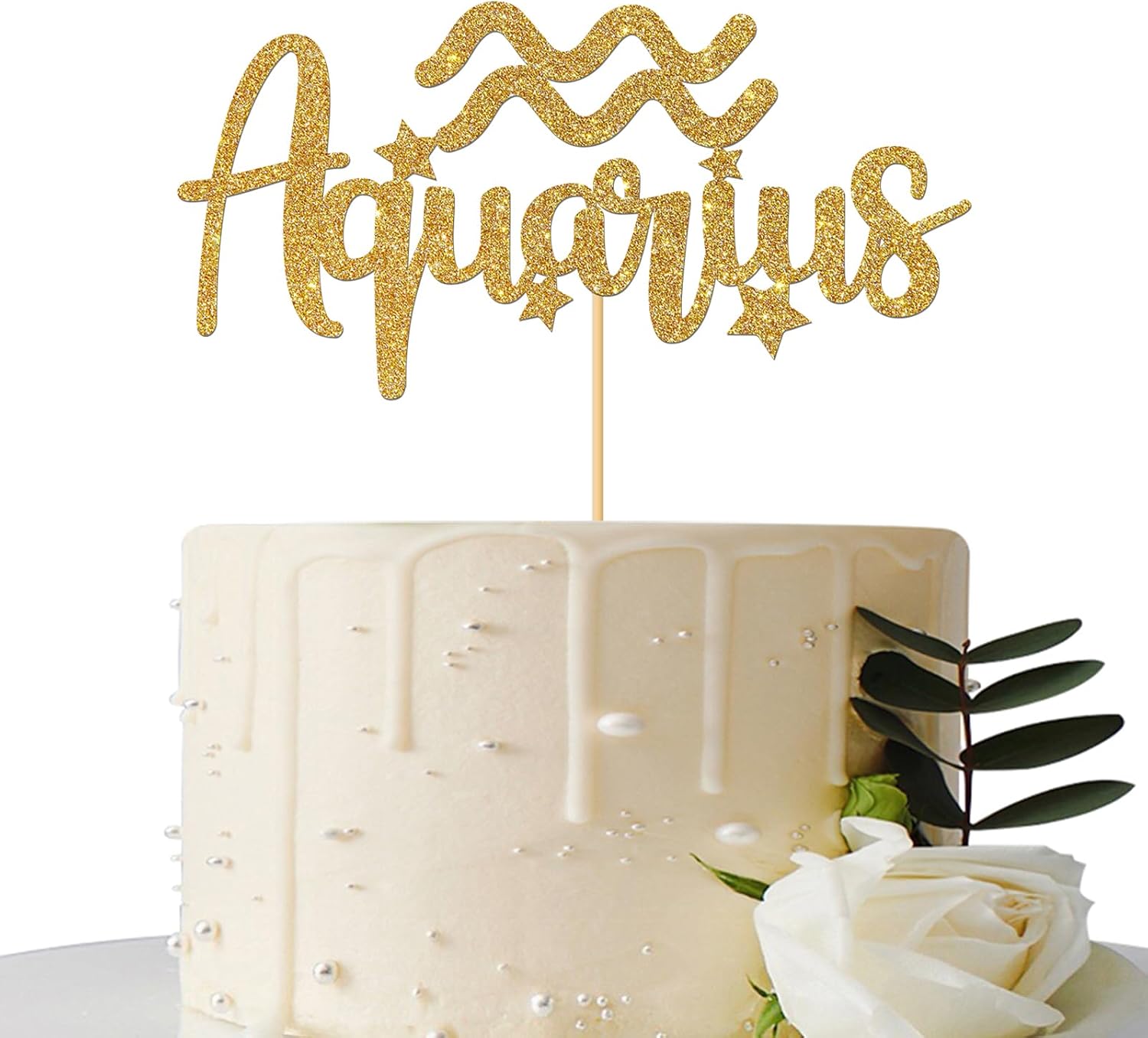 Amazon.com: Aquarius Cake Topper- Aquarius Season Cake Decor, Aquarius ...