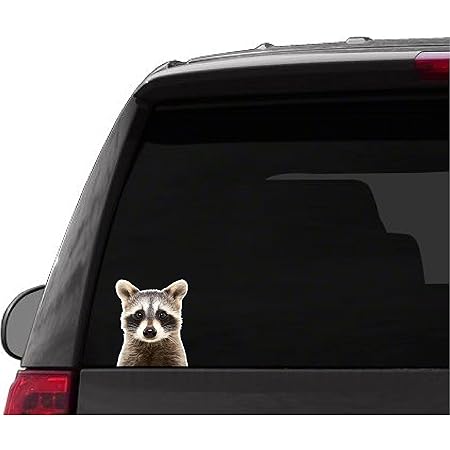 Amazon.com - Mesllings Raccoon Car Decal - 12 inches 3D Sticker Animal ...