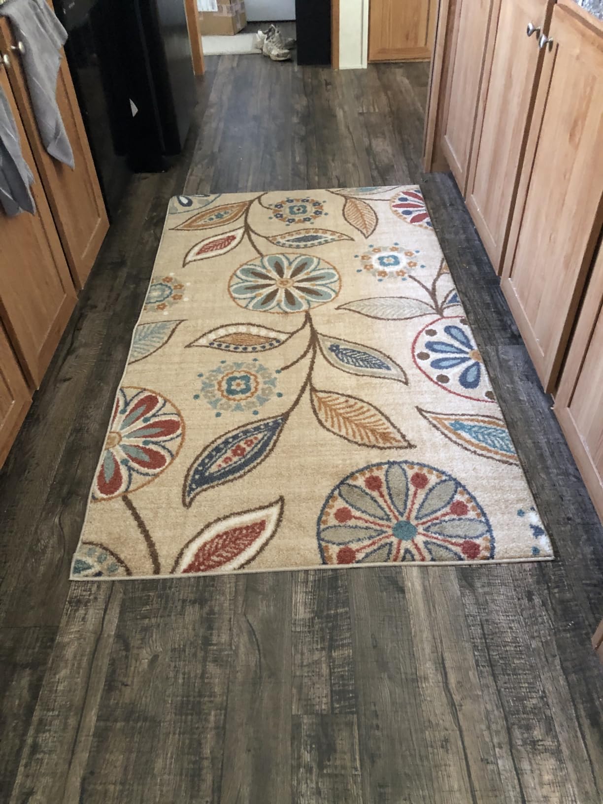 $10/mo - Finance Maples Rugs Reggie Floral Area Rugs for Living Room ...