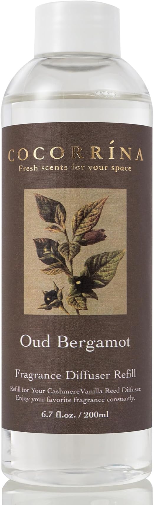 Amazon.com: Cocorrína Reed Diffuser Refill - Oud Bergamot 6.7 oz ...