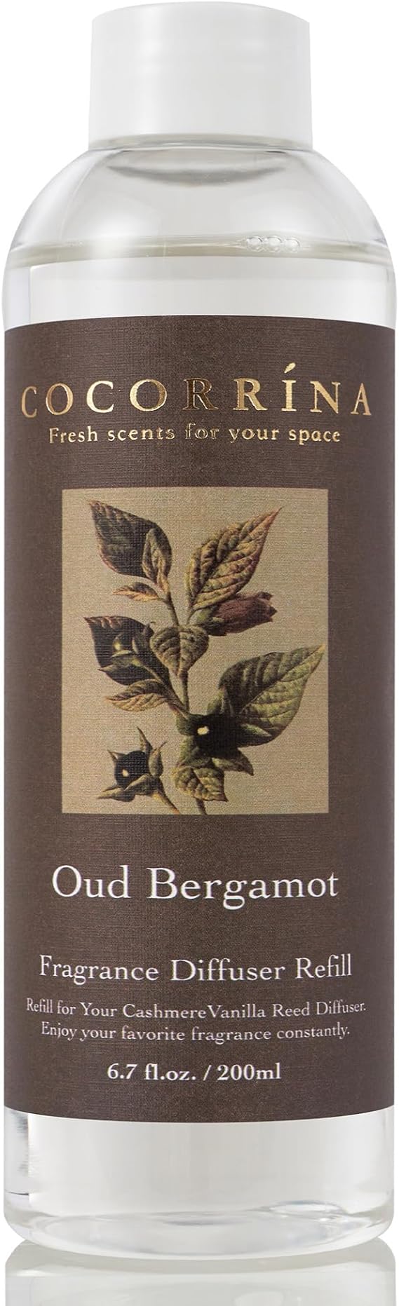 Amazon.com: Cocorrína Reed Diffuser Refill - Oud Bergamot 6.7 oz ...