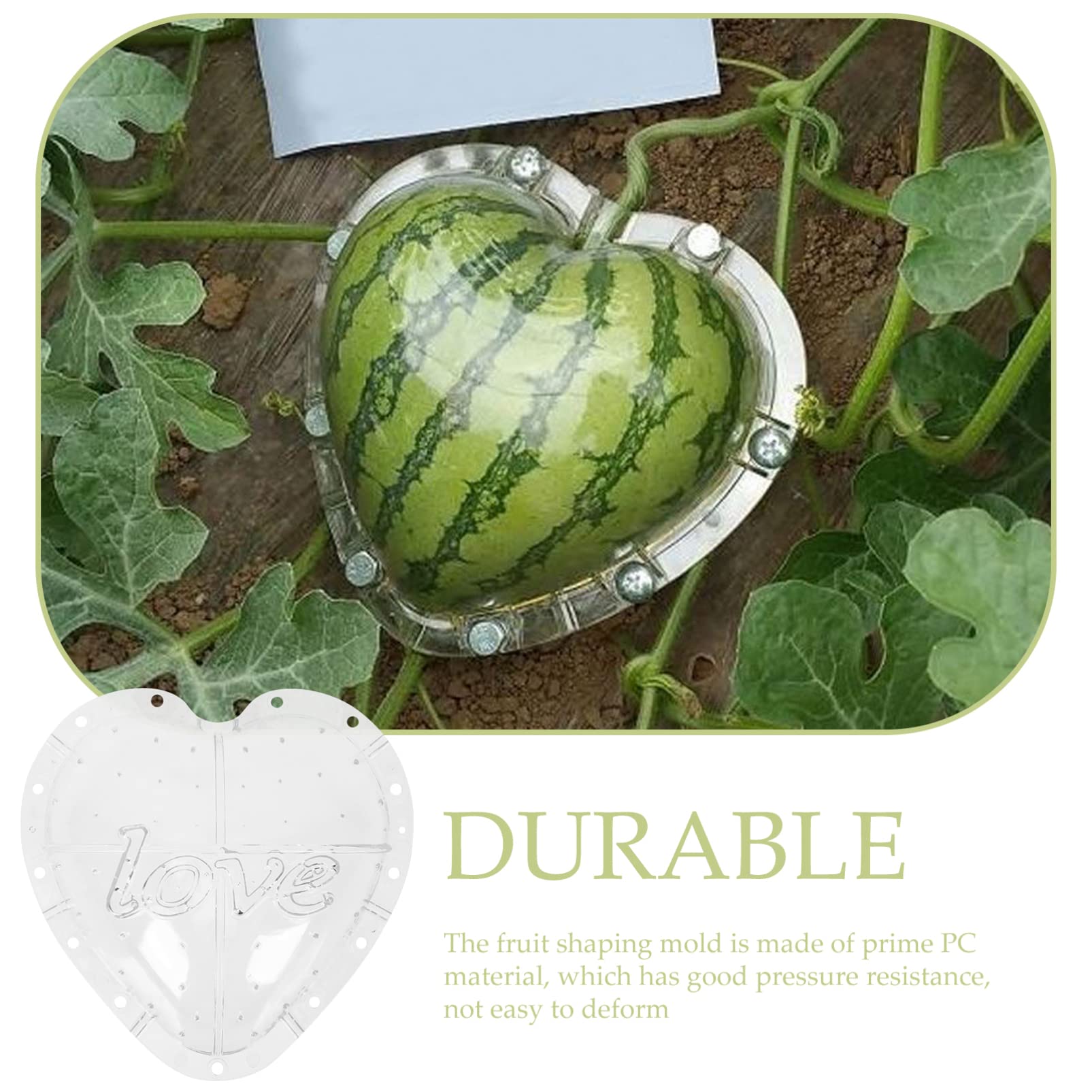 Vegetable Growing Mold Shape Kinaerty Cucumber Cultivation Mold