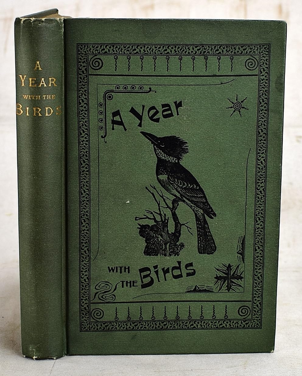 A Year with the Birds: Flagg, Wilson: Amazon.com: Books