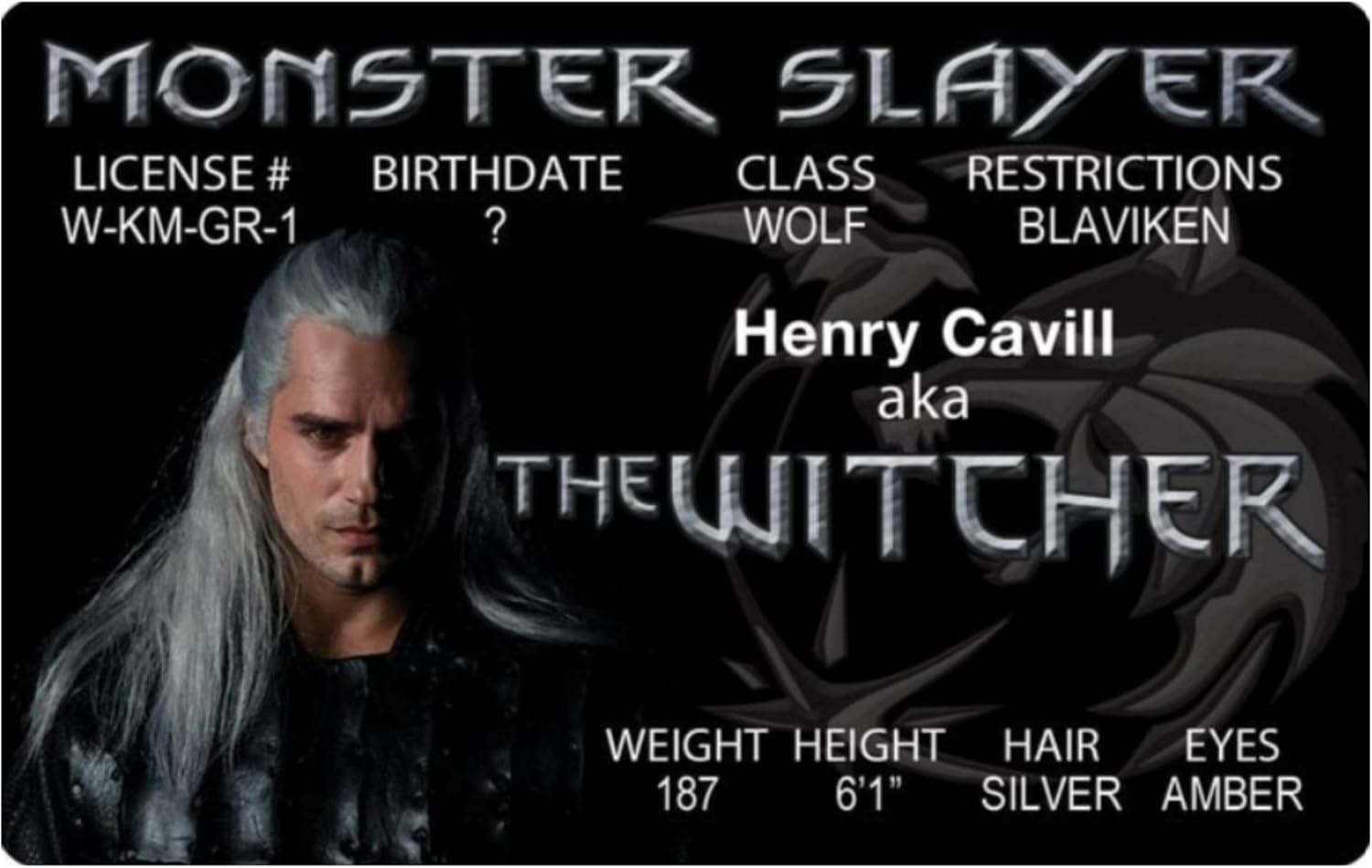 Amazon.com: Signs 4 Fun Parody Driver’s License | The Witcher - Henry ...