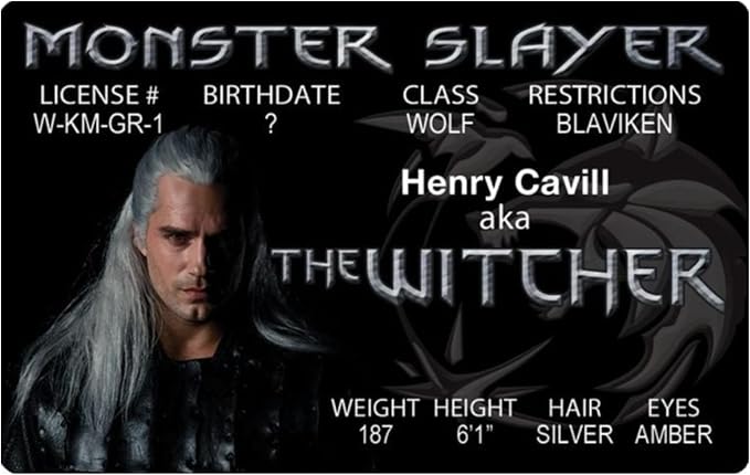 Amazon.com: Signs 4 Fun Parody Driver’s License | The Witcher - Henry ...