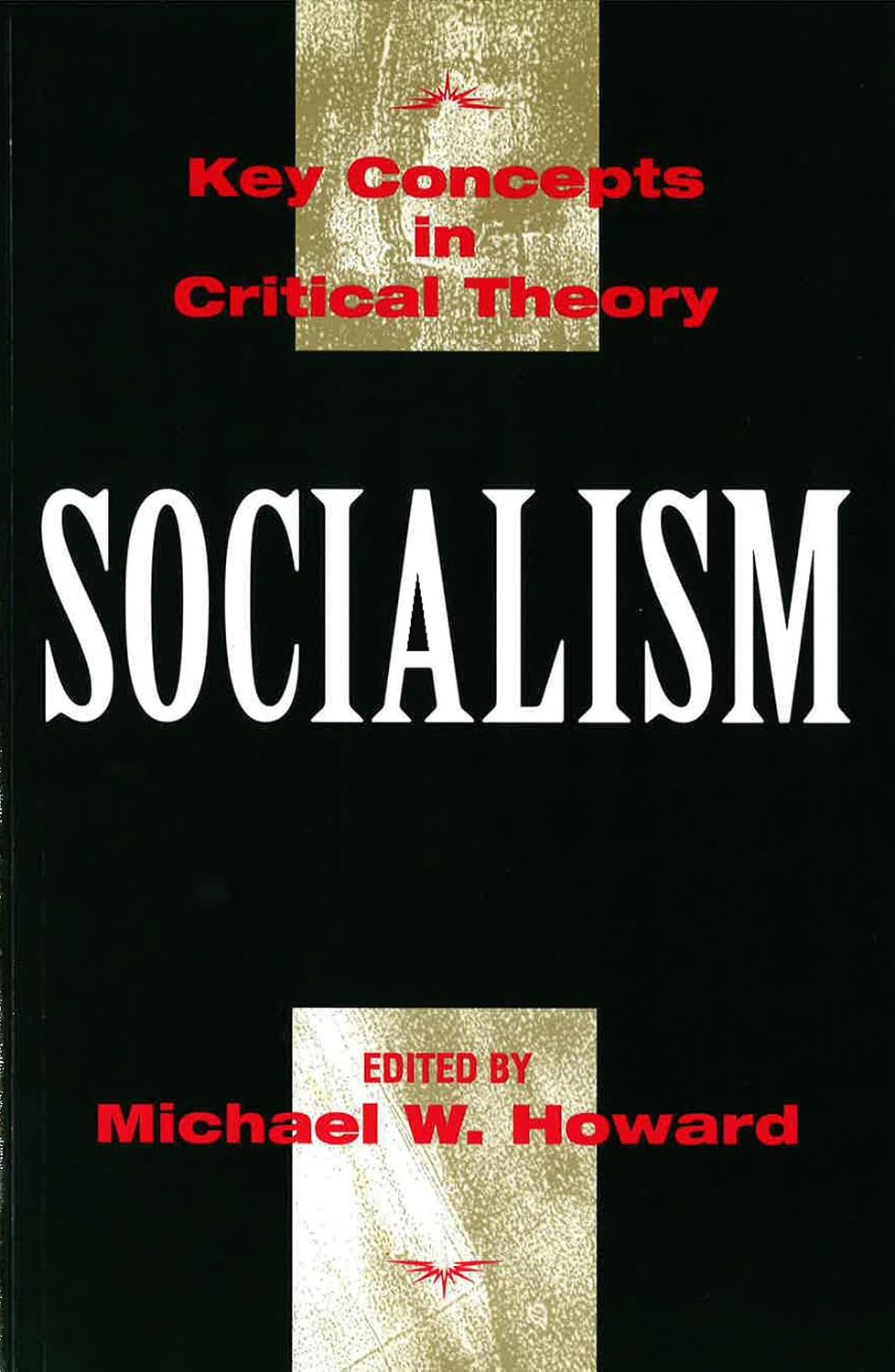 Socialism (Key Concepts in Critical Theory): Howard, Michael W ...