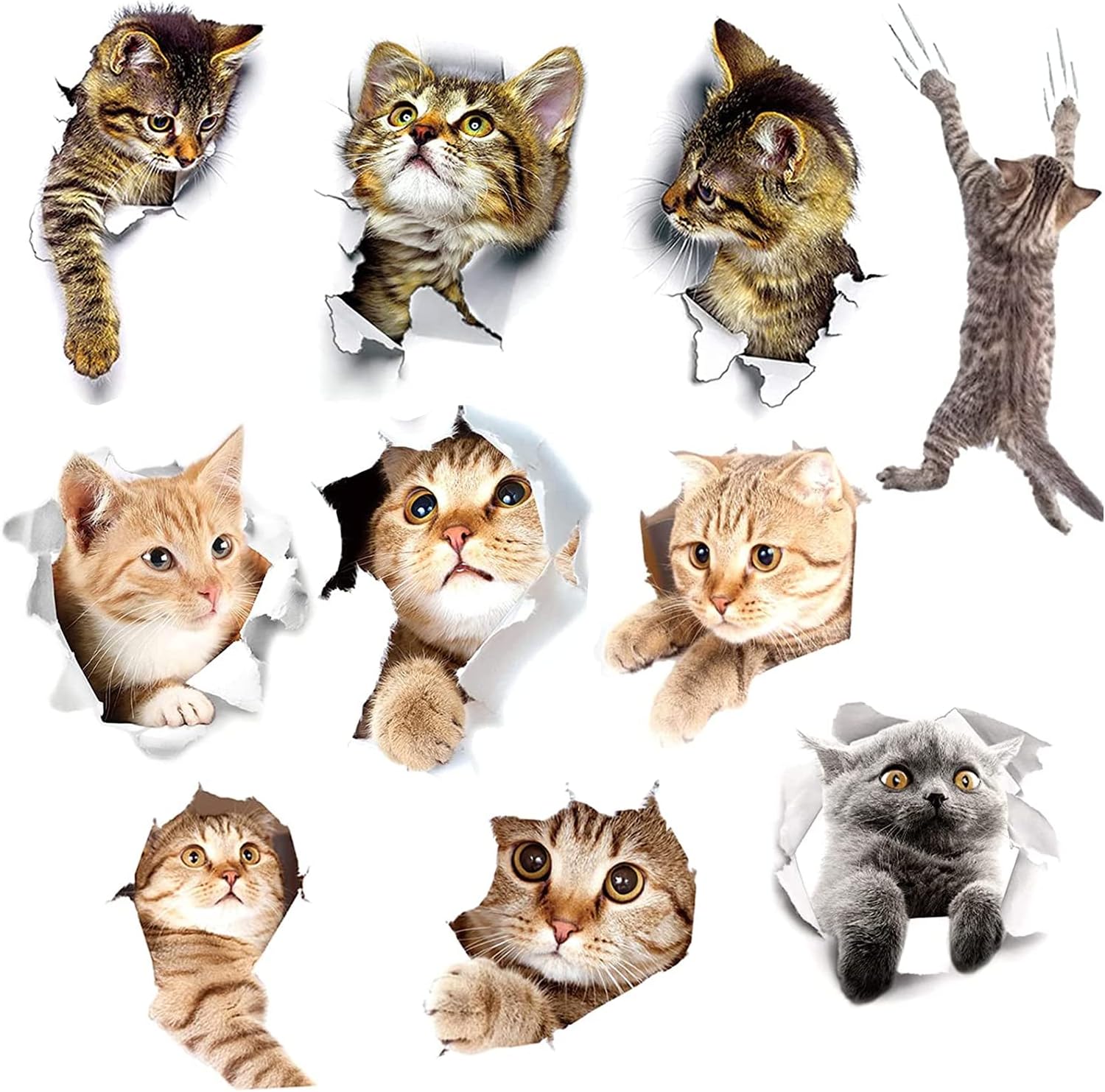 10 Pièces 3D Stickers Muraux Chat Adorable Autocollants Chat pour ...