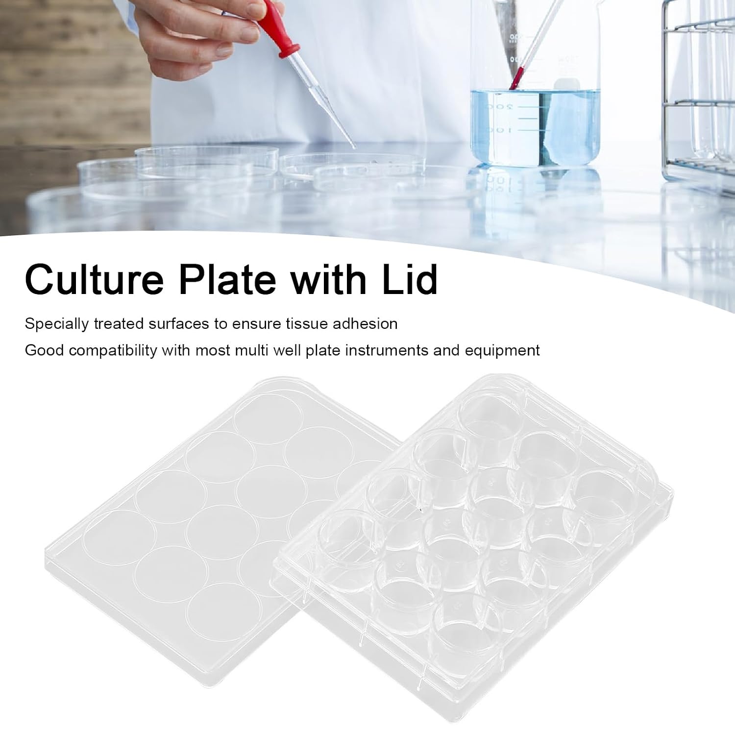 6 Well Culture Plate na maaaring Lid, Tissue Culture Philippines | Ubuy