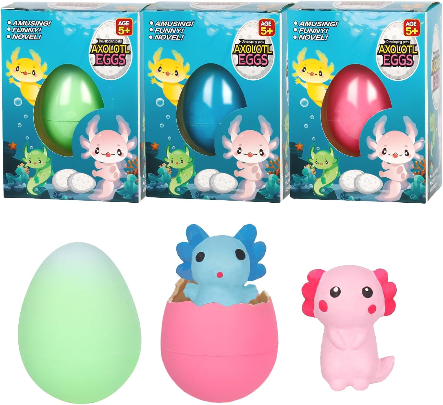 Amazon.com: Rileryan 3PCS Hatching Axolotl Eggs Growing in Water Mini ...