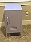 Amazon.com: Aiasuit 2 Tier Metal Locker End Table Lockable for ...