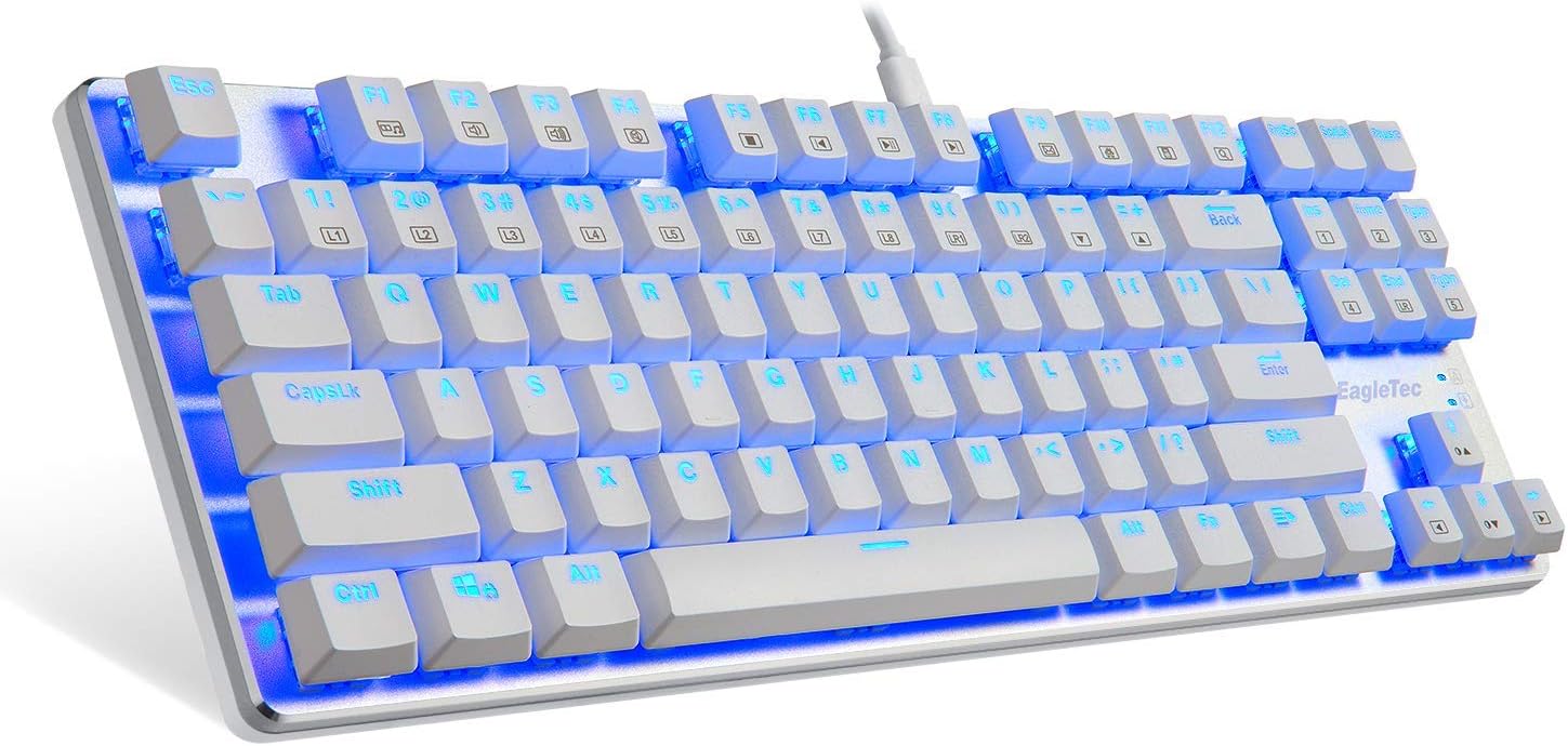 Amazon.com: EagleTec KG061-BR Blue LED Backlit Mechanical Gaming ...