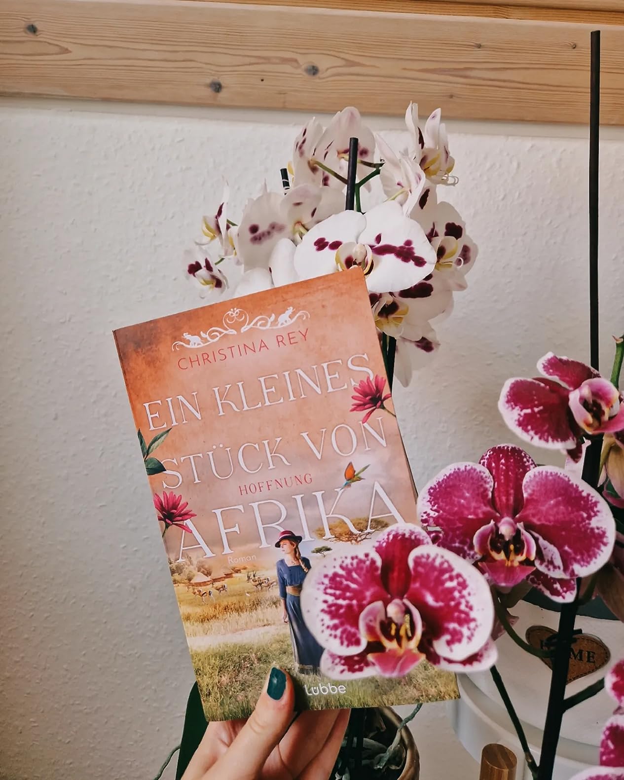 Ein kleines Stück von Afrika - Hoffnung: Das endlose Land 2 (Hörbuch ...