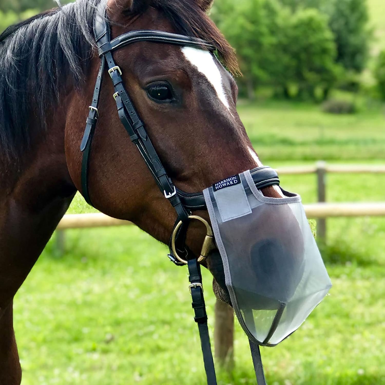 Harrison Howard Nose Net Nose Filter Nose Cover Reduces Head-Shaking ...