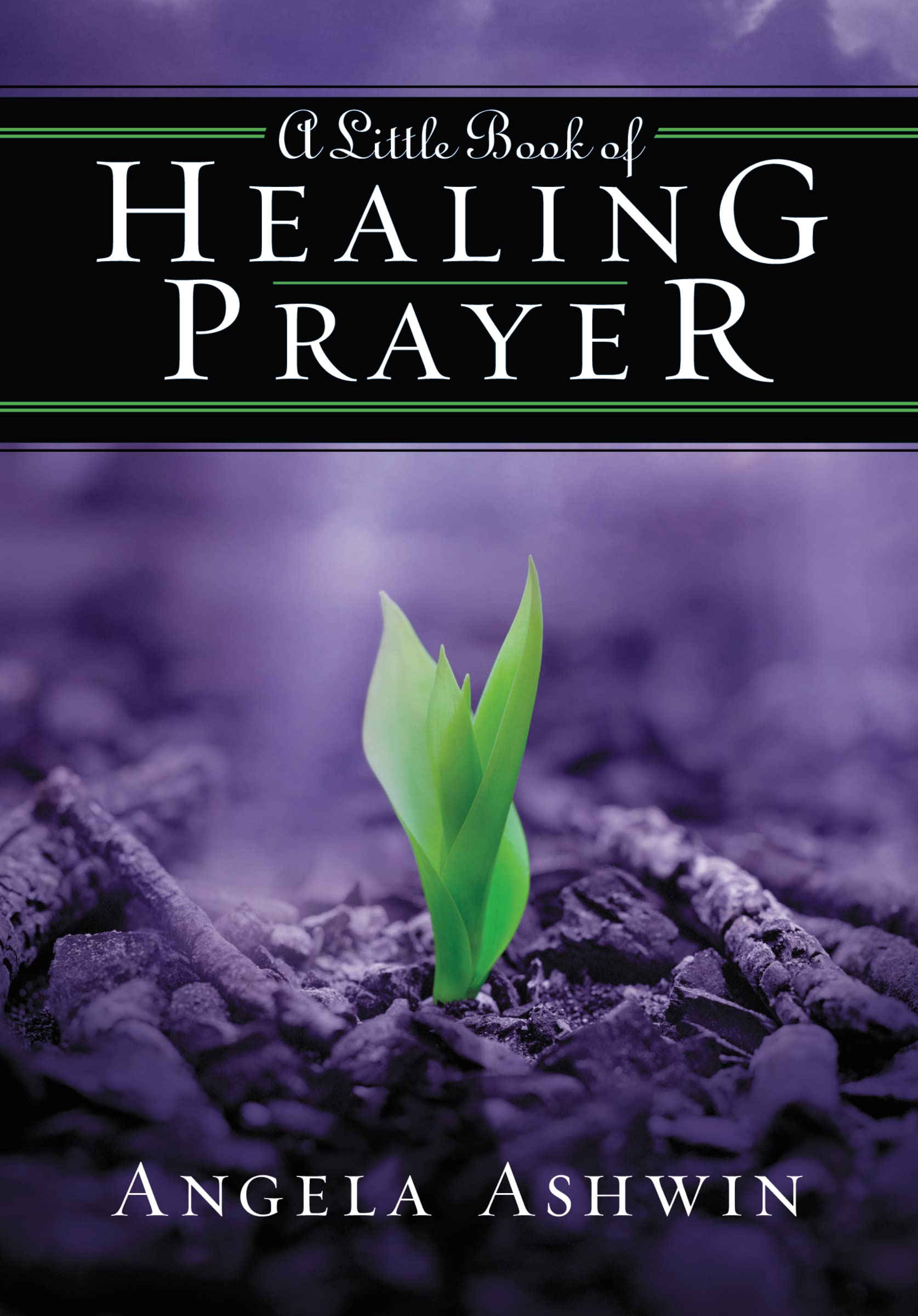 Little Book of Healing Prayer, A: Ashwin, Angela: 9780310249498: Amazon ...