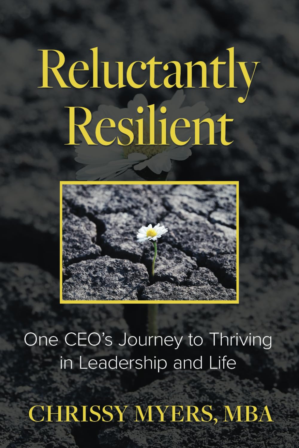 Reluctantly Resilient: One CEO's Journey to Thriving in Leadership and ...