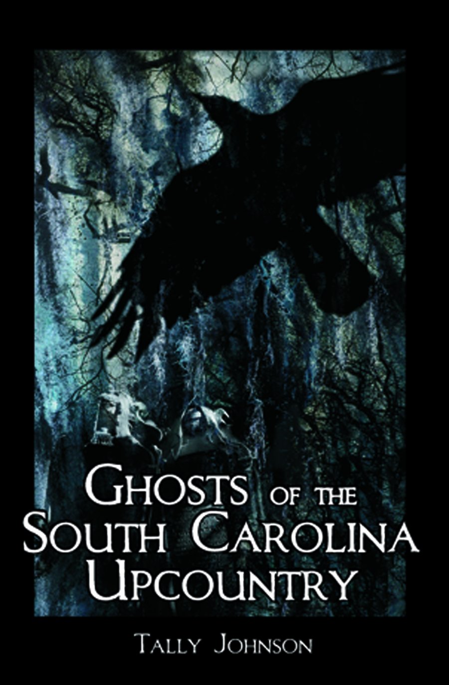 Ghosts of the South Carolina Upcountry (Haunted America): Johnson ...