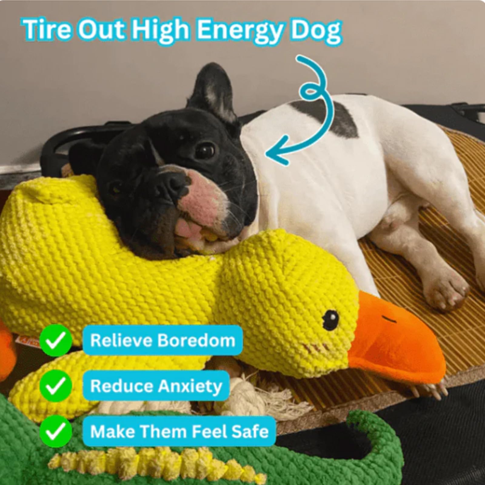 Duck Dog Pure Duck Nibbles – Duck Training Treats NEW & IMPROVED